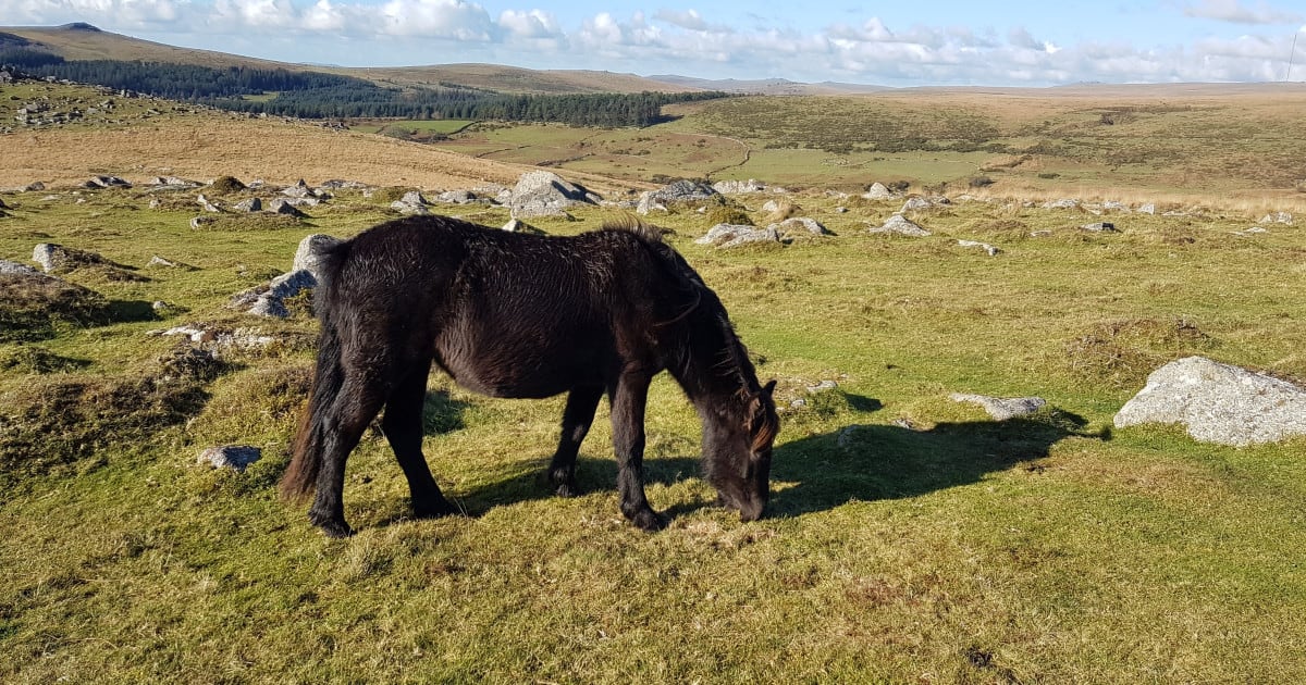 Weekenders Breaks | Bearslake Inn